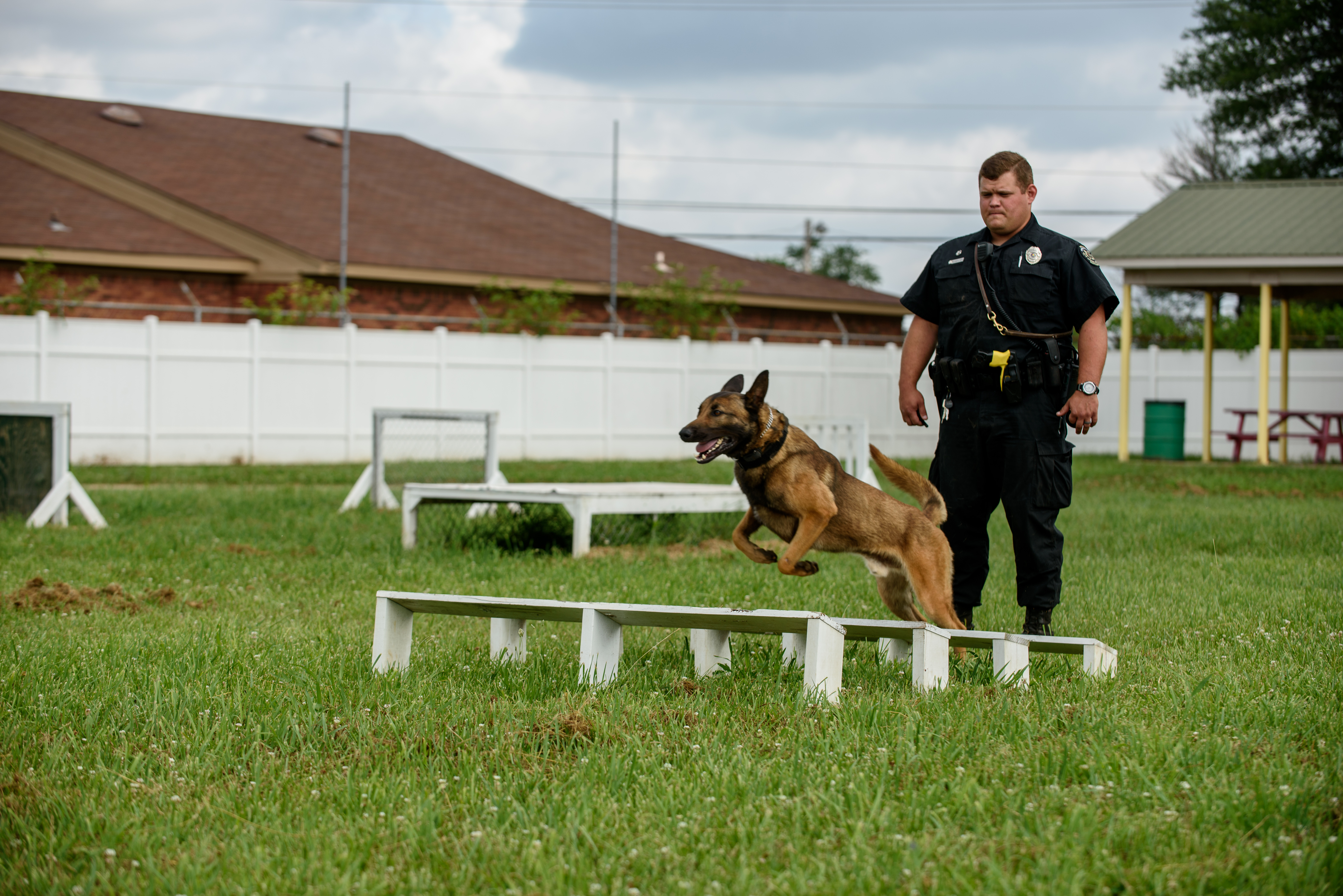 Meet the top dog (and his partner) in Huntsville's K-9 unit - City of ...