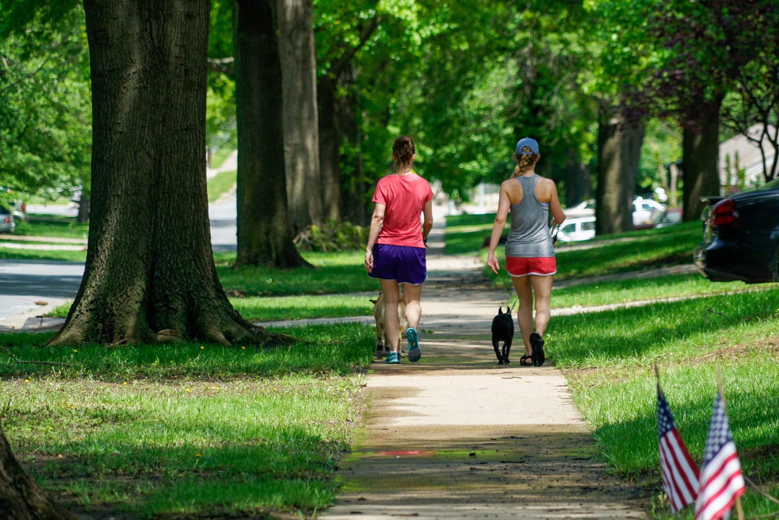 Keeping sidewalks clear key to a safe pedestrian network in Huntsville ...